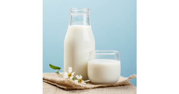 Découvrez les équipements liés au traitement du lait pour votre fromagerie